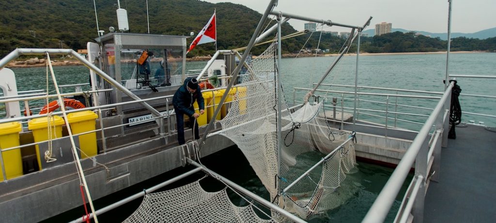 Meere von Plastikmüll befreien: Lottoland unterstützt One Earth – One ...